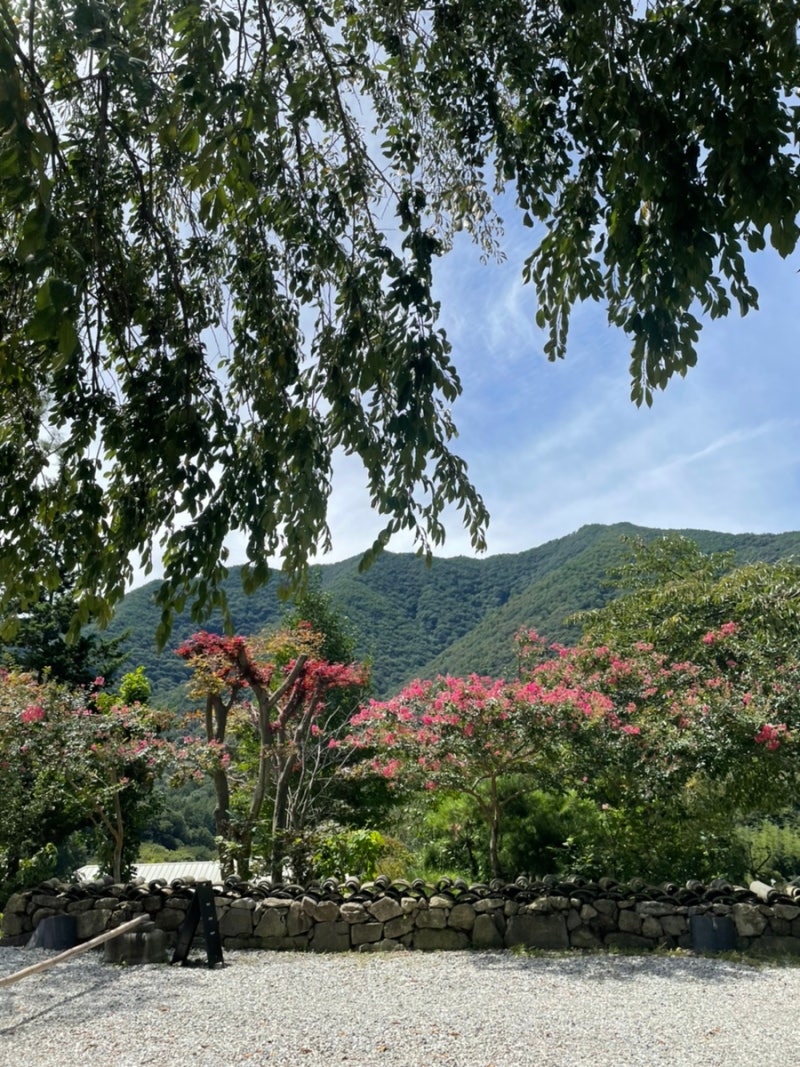 전주 갤러리카페 아원고택 AWON HANOK : 네이버 블로그