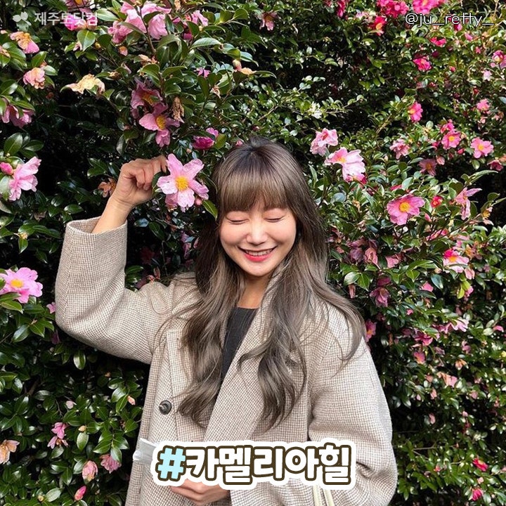 제주도 가볼만한곳 제주 남쪽 코스 추천 안덕서귀포남원표선성산 네이버 블로그