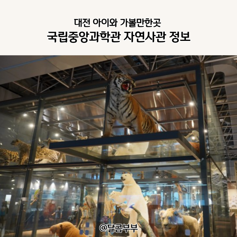 대전 아이와 가볼만한곳 국립중앙과학관 자연사관 정보 보기 네이버 블로그