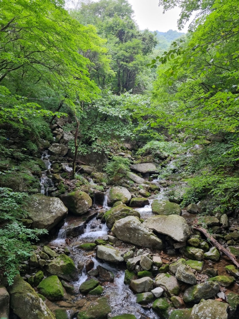 소백산 정상 비로봉 등산코스 희방사 초암사 코스 산행이야기 청명한 날씨 연화봉 국망봉 네이버 블로그