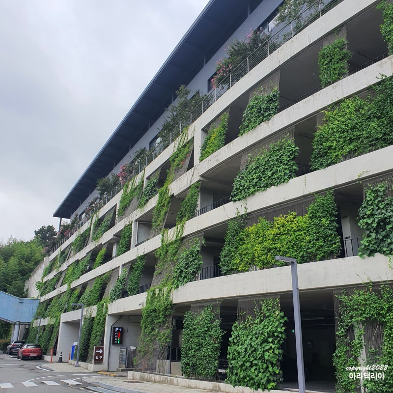 부산 가족여행 핫플 F1963 둘러보기 ( 숲길, 카페, yes24 서점, 전시 정원 구경 ) + 주차 : 네이버 블로그