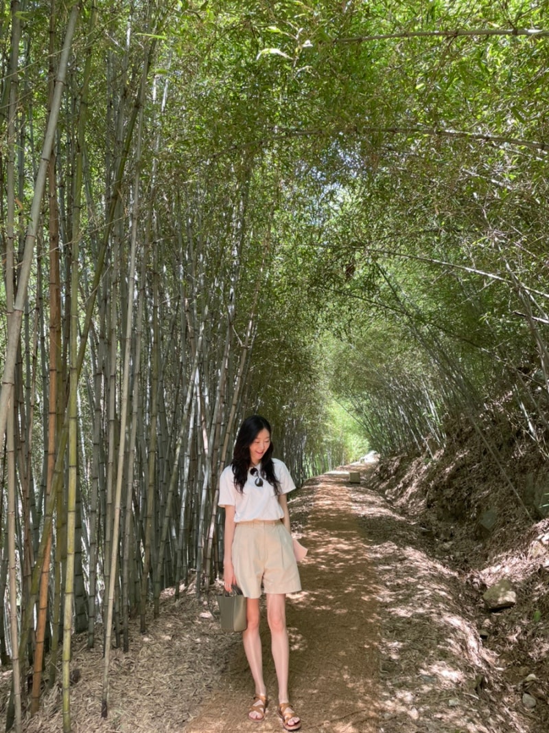 전주 갤러리카페 아원고택 AWON HANOK : 네이버 블로그