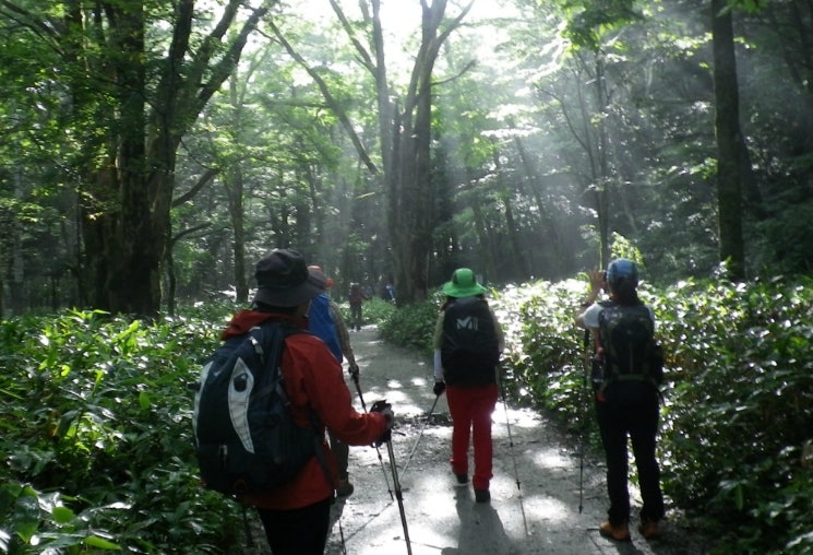 등산강사가 알려주는 일본 북알프스 종주 트레킹 준비의 모든것 : 네이버 블로그
