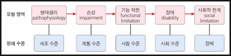 '장애 모델'과 분류 : Nagi model, ICIDH, NCMRR, ICF : 네이버 블로그