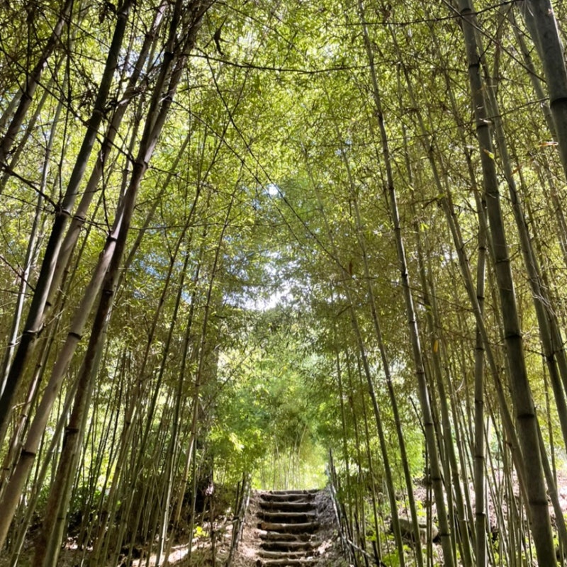 전주 갤러리카페 아원고택 AWON HANOK : 네이버 블로그