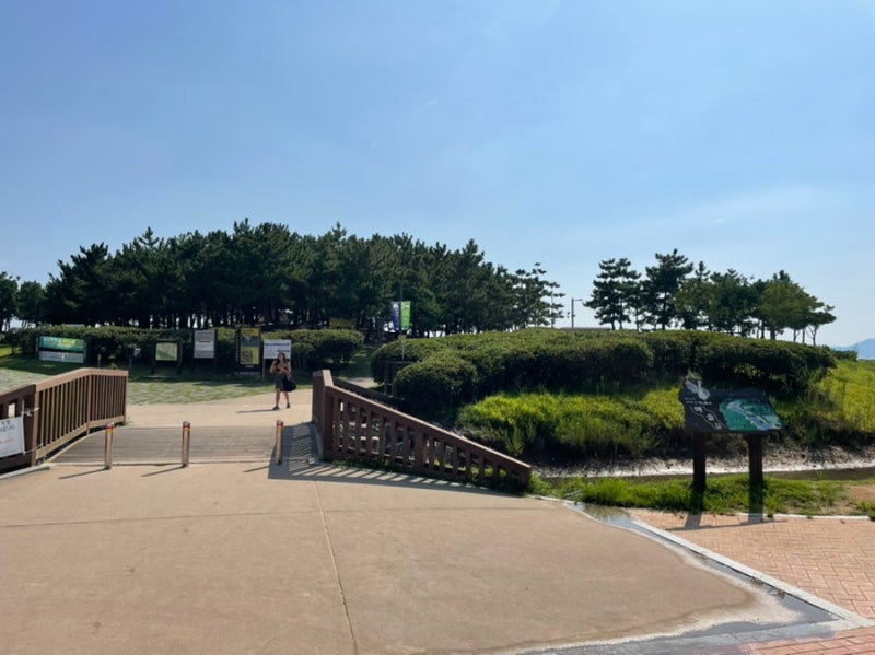 부산 명소 다대포해수욕장 다대포해변공원 다대포꿈의낙조분수 고우니 생태길 부산 가볼만한 곳 부산 여행
