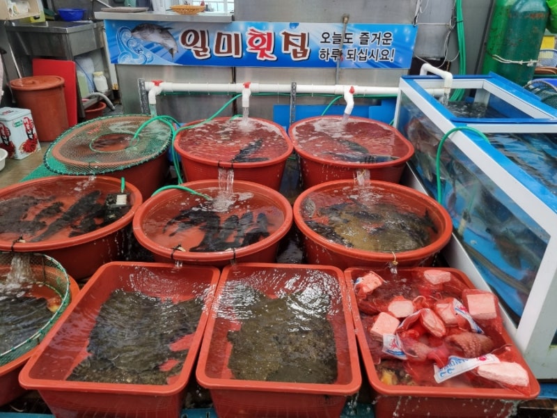 강원도추천맛집 삼척 장호 임원항 자연산회 배달맛집 택배가능한곳 네이버 블로그