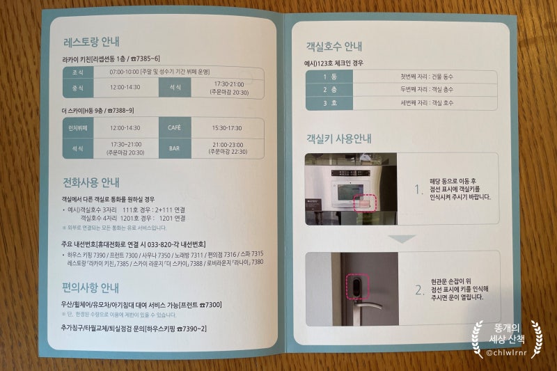 강릉 라카이 샌드파인 스튜디오 가든 패밀리 후기 Ft라카이샌드파인 조식 네이버 블로그