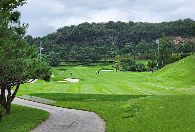 ⛳ 고창 골프존카운티 선운 Cc 라운딩 언니 홀인원 네이버 블로그