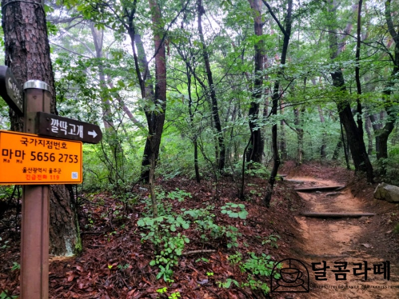 울산 문수산 등산 코스별 출발지 위치 산행 정보 네이버 블로그