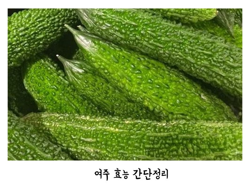 여주 효능 당뇨차 먹는법 말린여주 네이버 블로그