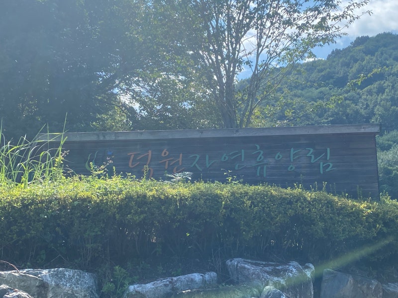 하동 덕원 자연휴양림연립동 소개 야외 물놀이장 물놀이 네이버 블로그