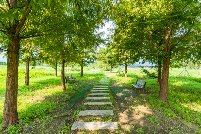 경기도 가볼만한곳 9월에 데이트 경기 드라이브 코스 볼거리 네이버 블로그
