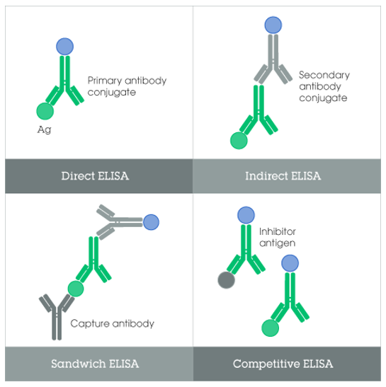 [생명과학] ELISA (Enzyme-Linked Immunosorbent Assay) 쉽게 이해하기! : 네이버 블로그
