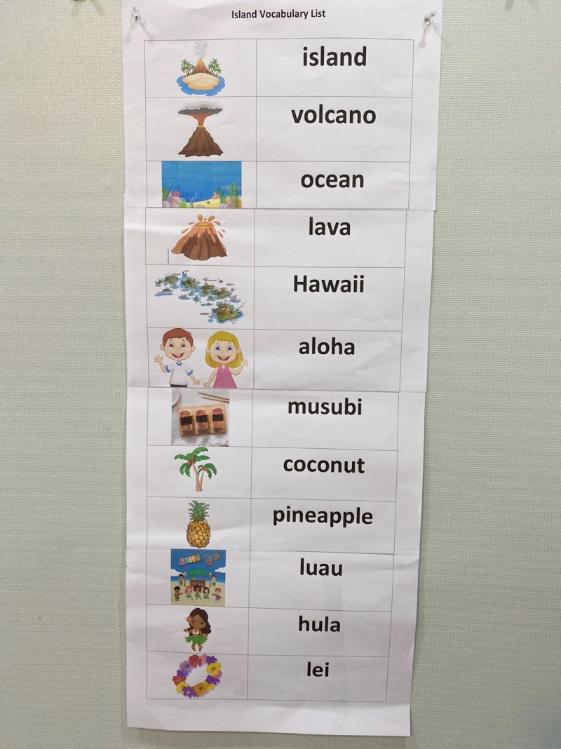 레벨별 영어학습, 충분히 즐기자!_8월 Hawaii & Island 주제별 프로젝트 주간별 활동내용 : 네이버 블로그