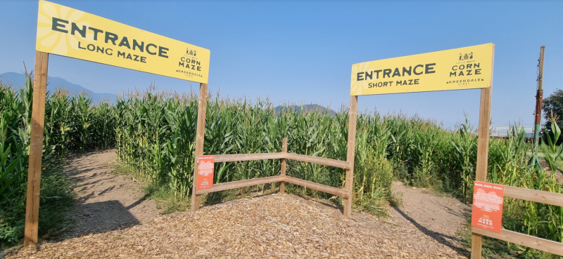 밴쿠버 근교 칠리왁 옥수수 미로(Chilliwack Corn Maze / Greendale Acres) : 네이버 블로그