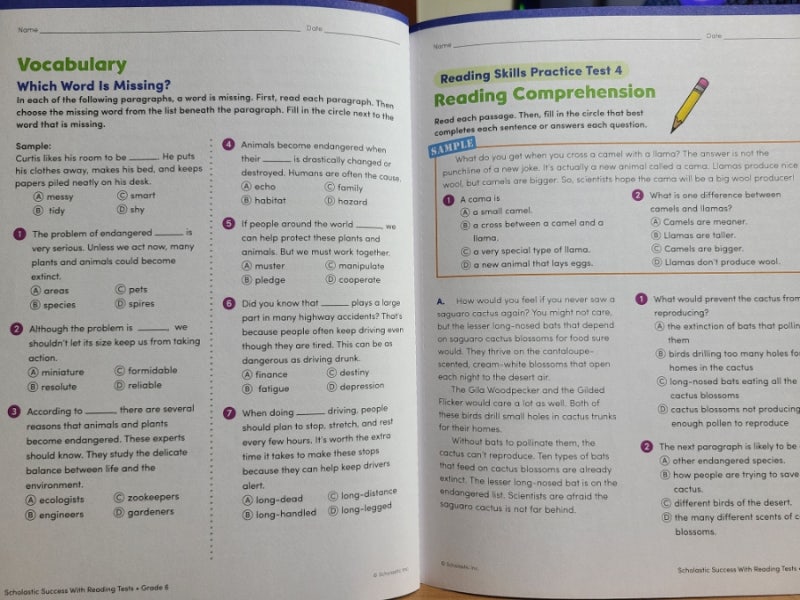 영쌤터 Scholastic Success with Reading Tests G6 미리보기 : 네이버 블로그