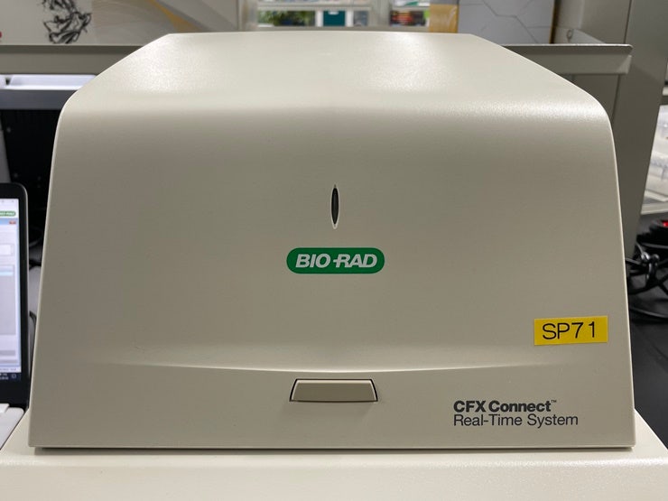 Bio-Rad CFX Connect Real-Time PCR Detection System (SP71) : 네이버 블로그