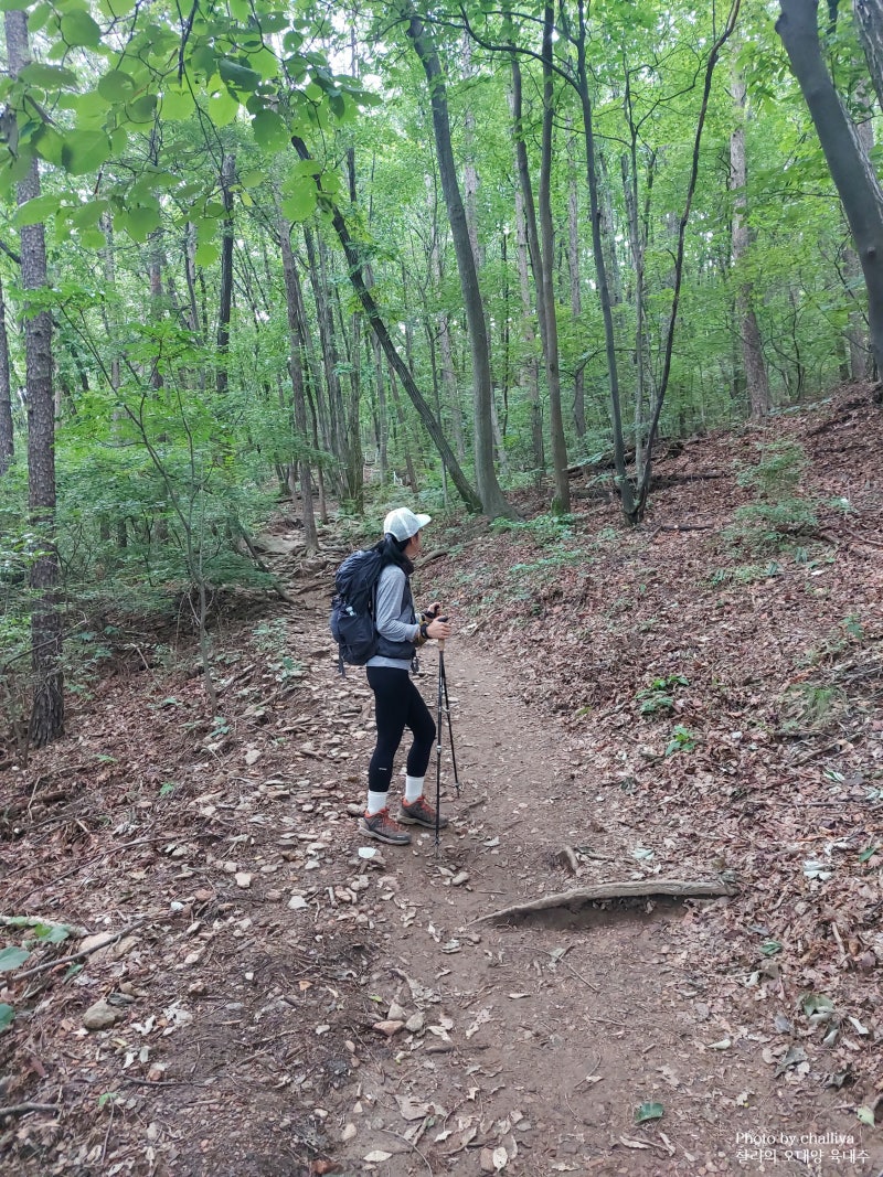 가평 유명산 등산코스 자연휴양림~정상 최단코스 네이버 블로그