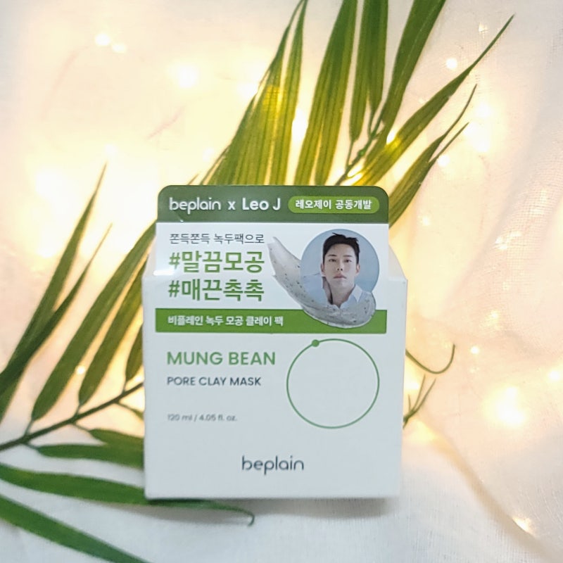 믿고쓰는 레오제이 추천템 비플레인 네이버 블로그