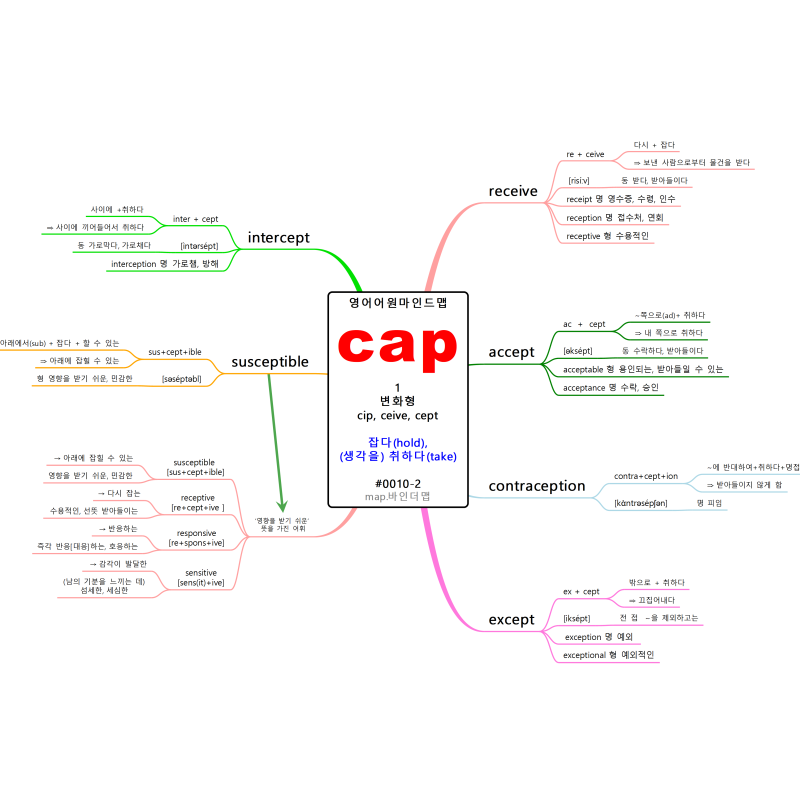 영어어원 cap 파생단어 마인드맵 정리 : 네이버 블로그