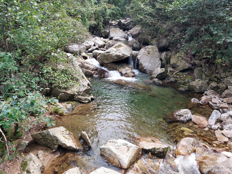 가평 유명산 등산코스 자연휴양림~정상 최단코스 네이버 블로그