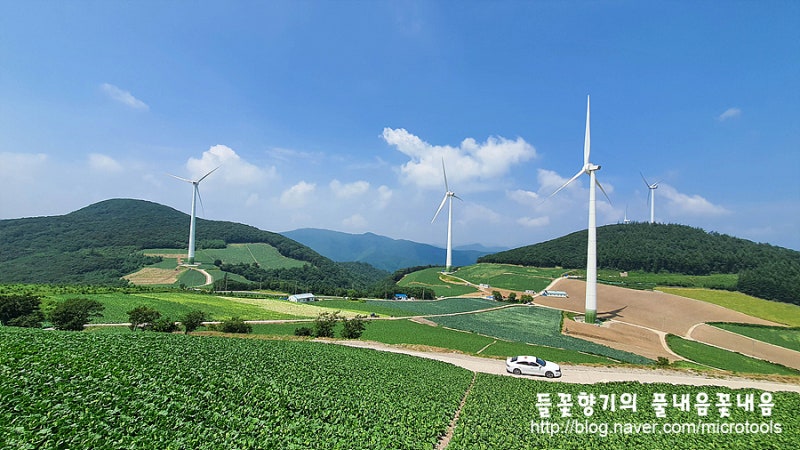 태백 가볼만한곳 매봉산 바람의언덕 네이버 블로그