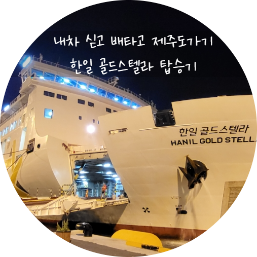 제주도 나홀로 여행 2 한일고속페리 이용 차가지고 배타고 제주도 가기 골드스텔라 탑승기 여수→제주 네이버 블로그