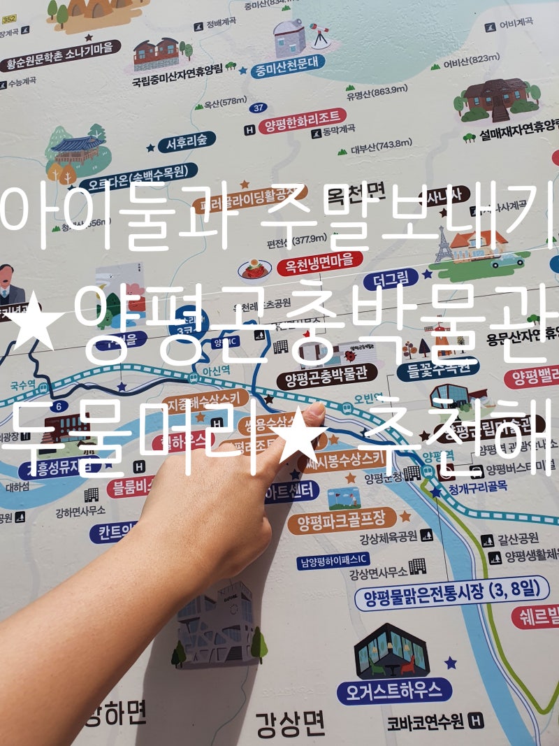 엄마랑 아이둘 ★ 주말에 갈만한 곳 양평 곤충박물관 And 두물머리 ★캐리커쳐하기 엄마랑드라이브 아이들데리고갈만한 경기권여행지