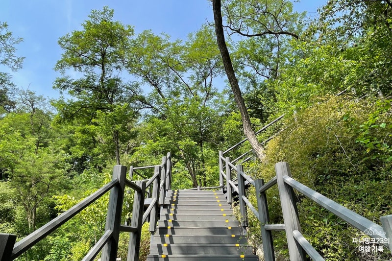 서울 가볼만한 곳 인왕산 숲속쉼터 구 인왕 3분초 네이버 블로그