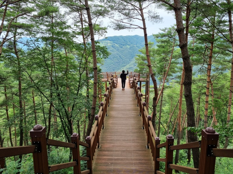 충북 단양 여행소백산 자연휴양림 정감록 명당체험마을 네이버 블로그