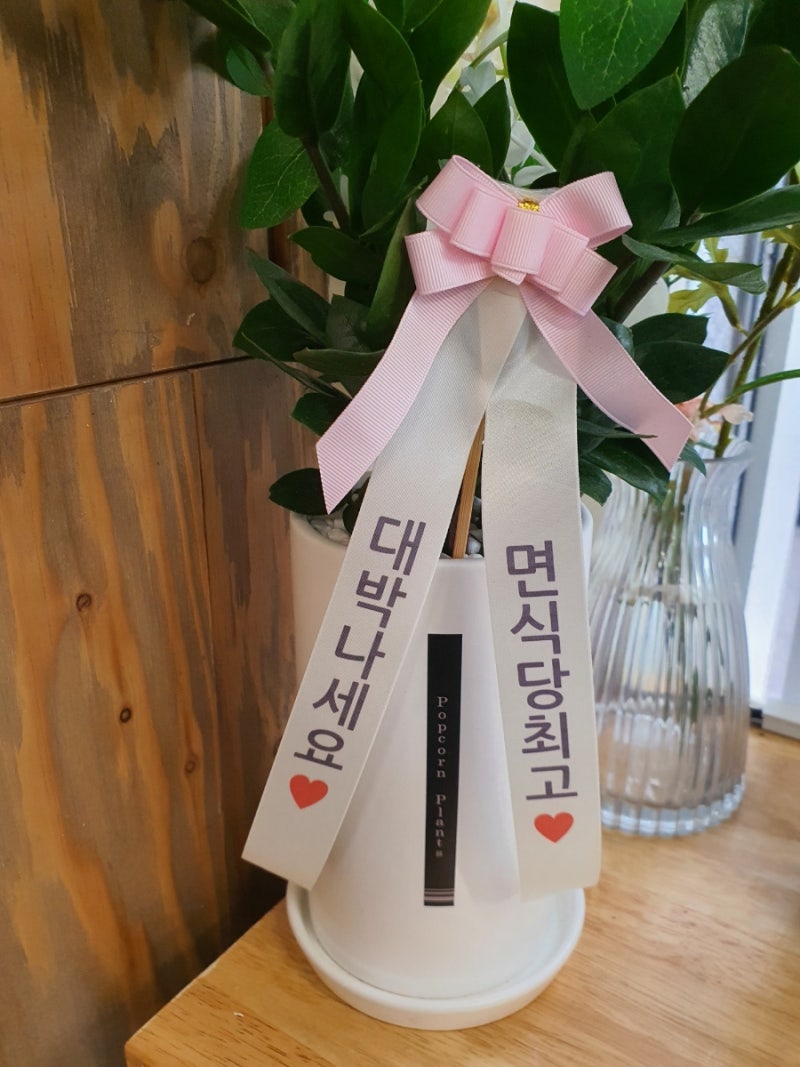 청주 사창동 돈까스 맛집 면식당에서 쌀국수와 돈까스 드시고 가세요 Near 충북대 중문 네이버 블로그