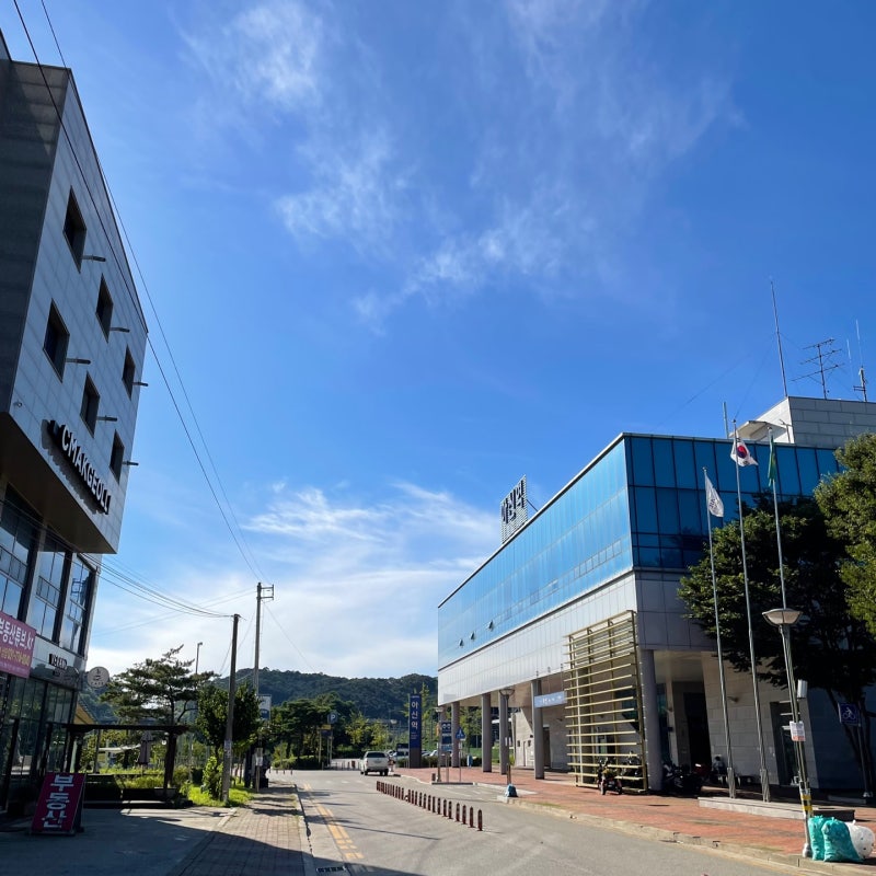 서울 근교 당일치기 뚜벅이 여행 양평 패러글라이딩 후기 및 준비 팁 양평 두물머리 산책 네이버 블로그