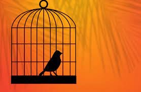 제한(制限), 제약(制約)하다 차이 / 리미트 limit, confine, restrict, restriction ...