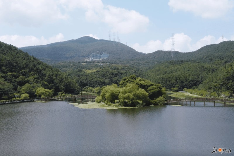 중마동 산책하기 좋은 곳 여름기운 가득한 산책로를 따라 행운과 행복 모두 얻어가세요 ♪ 와우생태호수공원 광양가볼만한곳