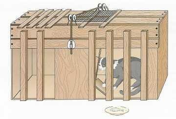 제한(制限), 제약(制約)하다 차이 / 리미트 limit, confine, restrict, restriction ...