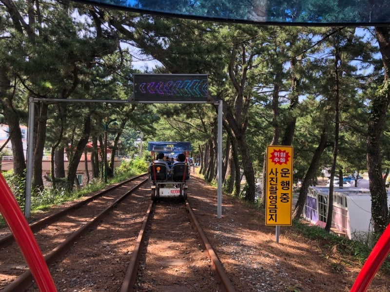 삼척 여행 코스추천 풍경이 예쁜 해양 레일바이크 추천 네이버 블로그