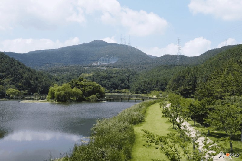 중마동 산책하기 좋은 곳 여름기운 가득한 산책로를 따라 행운과 행복 모두 얻어가세요 ♪ 와우생태호수공원 광양가볼만한곳