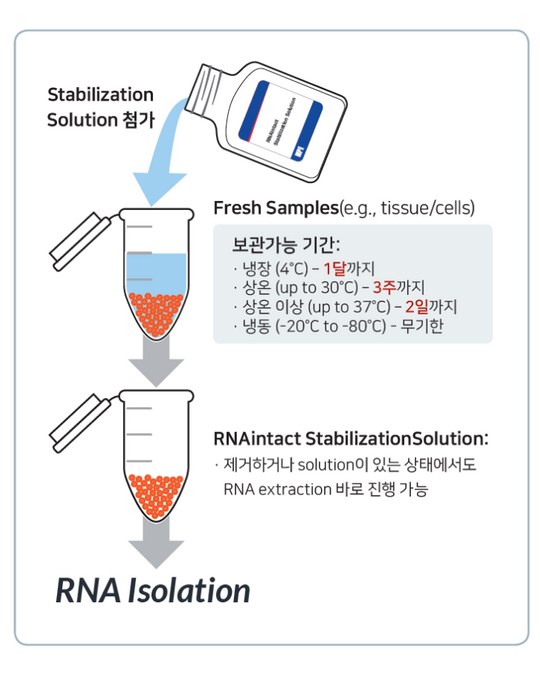 RNAintact Stabilization Solution- 샘플내 RNA를 안전하게 보관 (1+1 프로모션) : 네이버 블로그
