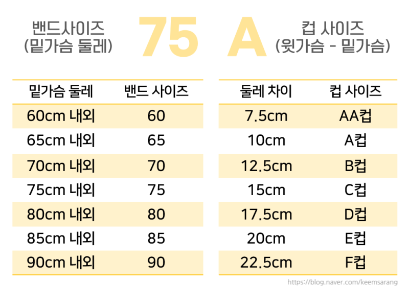 75F 큰컵브라 유목민의 큐모모, 에메필 글래머 비무네, 솔브, 원더브라, 비너스 등 후기 ♡ : 네이버 블로그