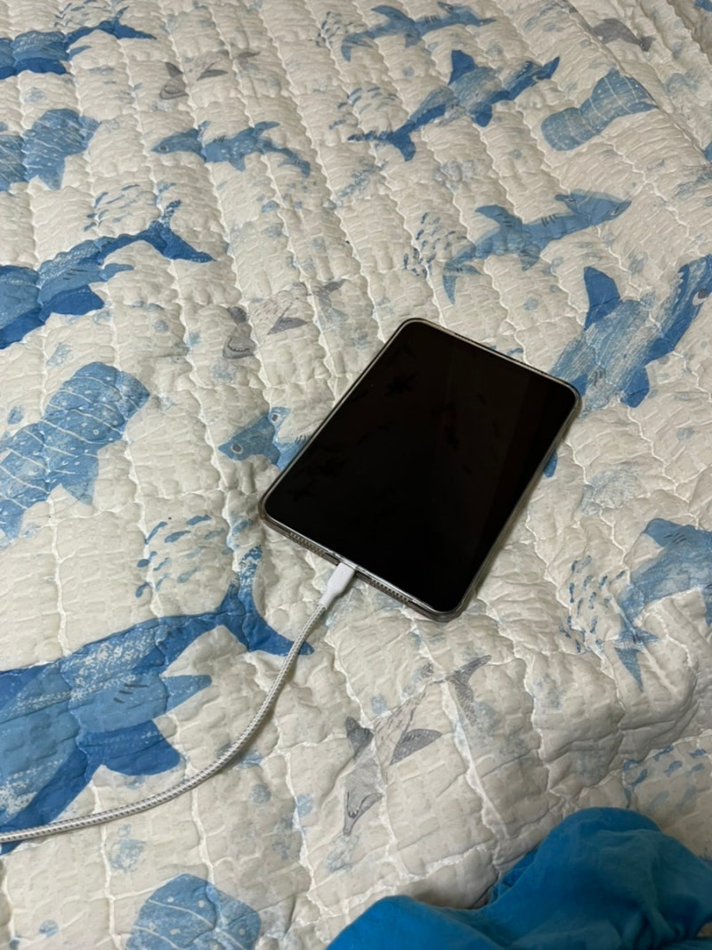 벨킨 부스트업 브레이디드 C To C타입 초고속 충전 케이블 100w Pd 2미터 Cab014bt2m 체험단 리뷰 네이버 블로그