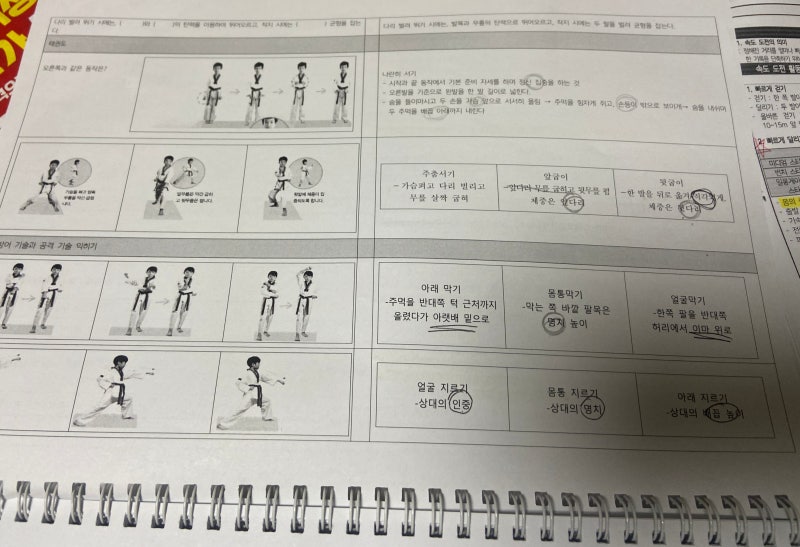 초등 임용 초등임용 각론 체육 단권화 나눔 어린해 네이버 블로그