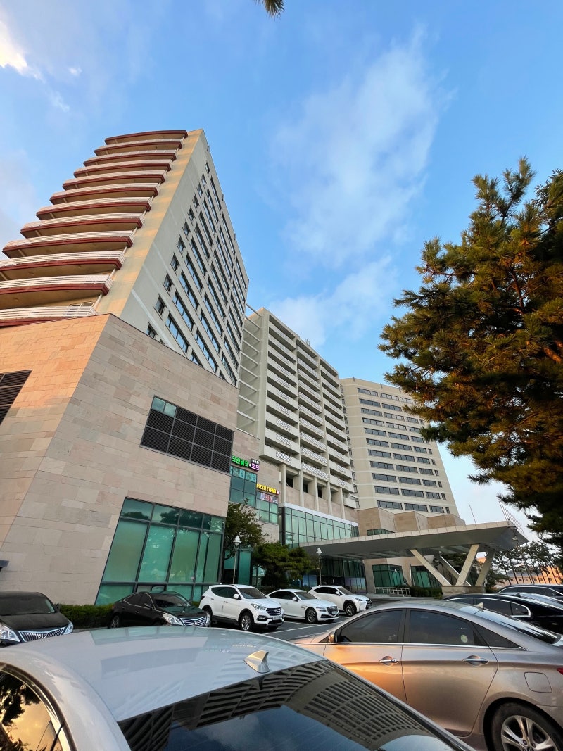 무창포 비체펠리스 36평객실 후기 네이버 블로그