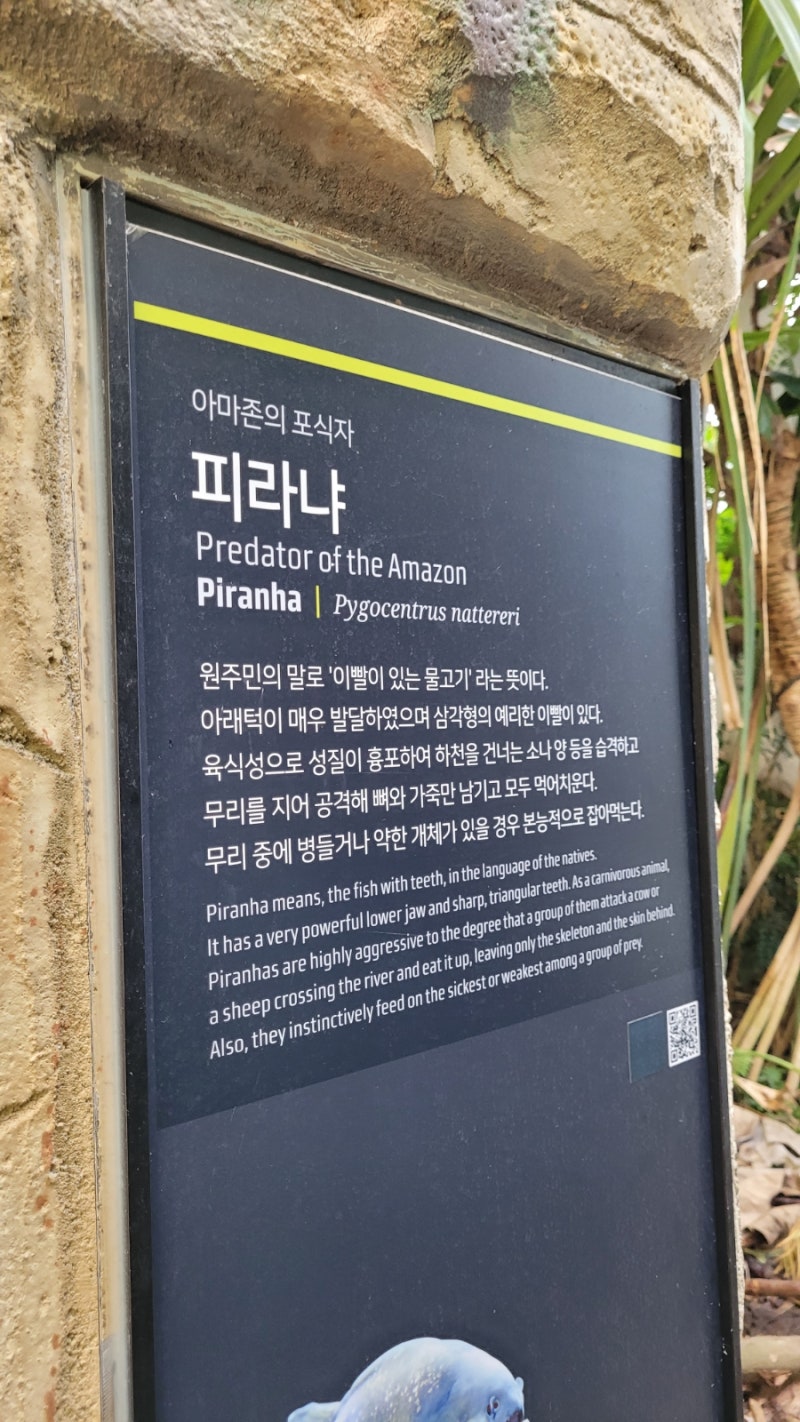 서천장항여행 5 서천 국립생태원 관람 입장료기차 에코리움놀이터 네이버 블로그