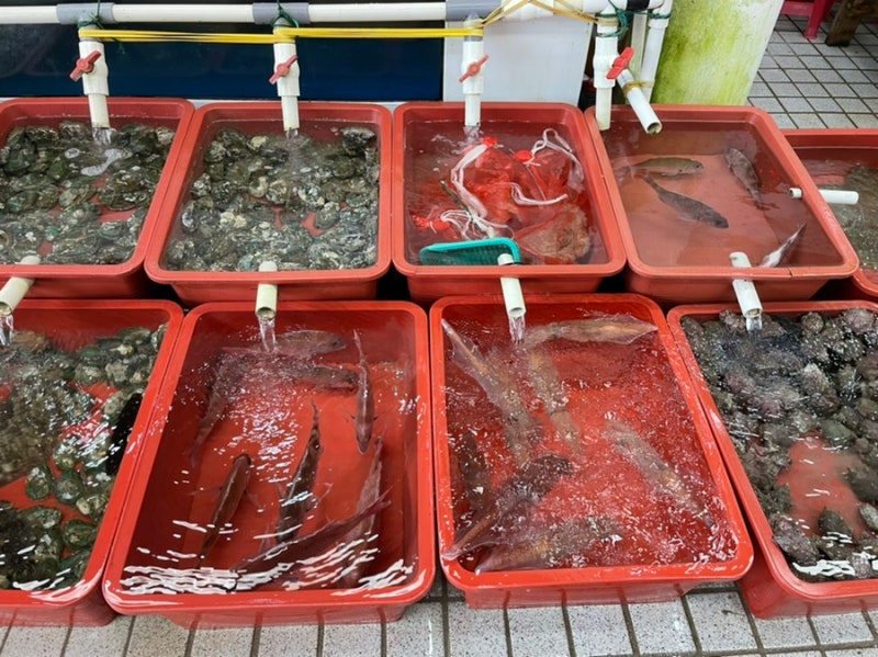 청산도 맛집 청산도에서 먹은 식당 수산물센터 갯마을식당 등 솔직후기 네이버 블로그