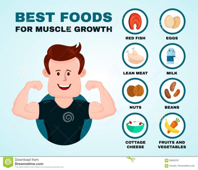 Muscle atrophy (근 위축) : 네이버 블로그
