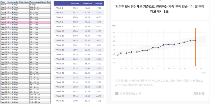 임산부 주수별 체중 증가 임산부 몸무게 변화 적정체중 사이트 및 어플 사용후기 네이버 블로그
