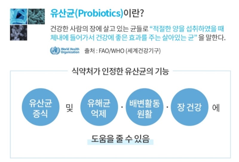 제품 리뷰 가성비갑 애터미 프로바이오틱스 10플러스 친생 유산균 네이버 블로그