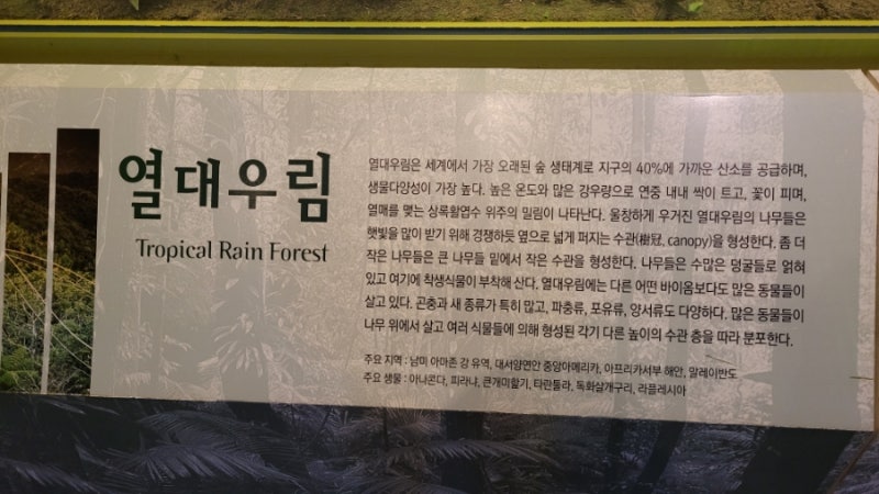서천장항여행 5 서천 국립생태원 관람 입장료기차 에코리움놀이터 네이버 블로그