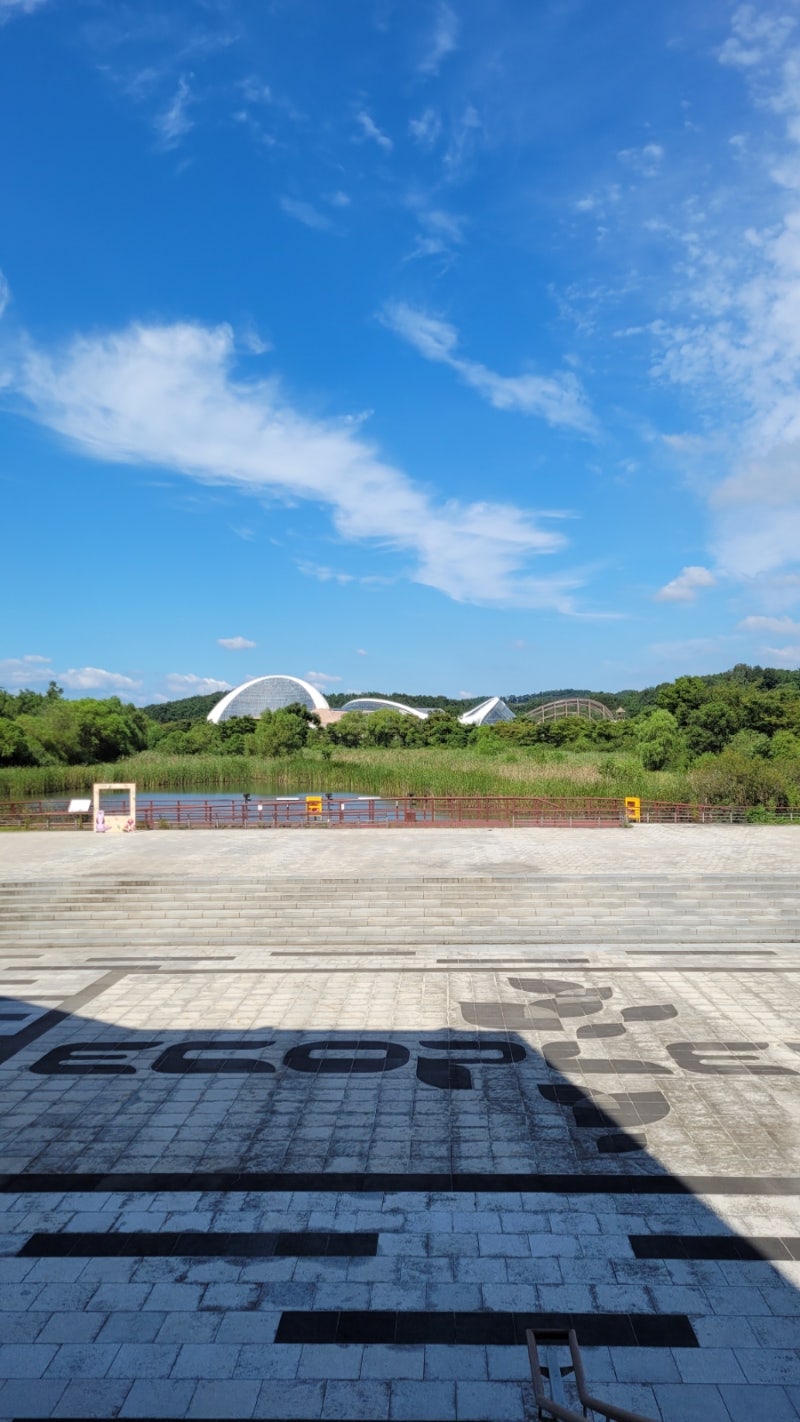 서천장항여행 5 서천 국립생태원 관람 입장료기차 에코리움놀이터 네이버 블로그